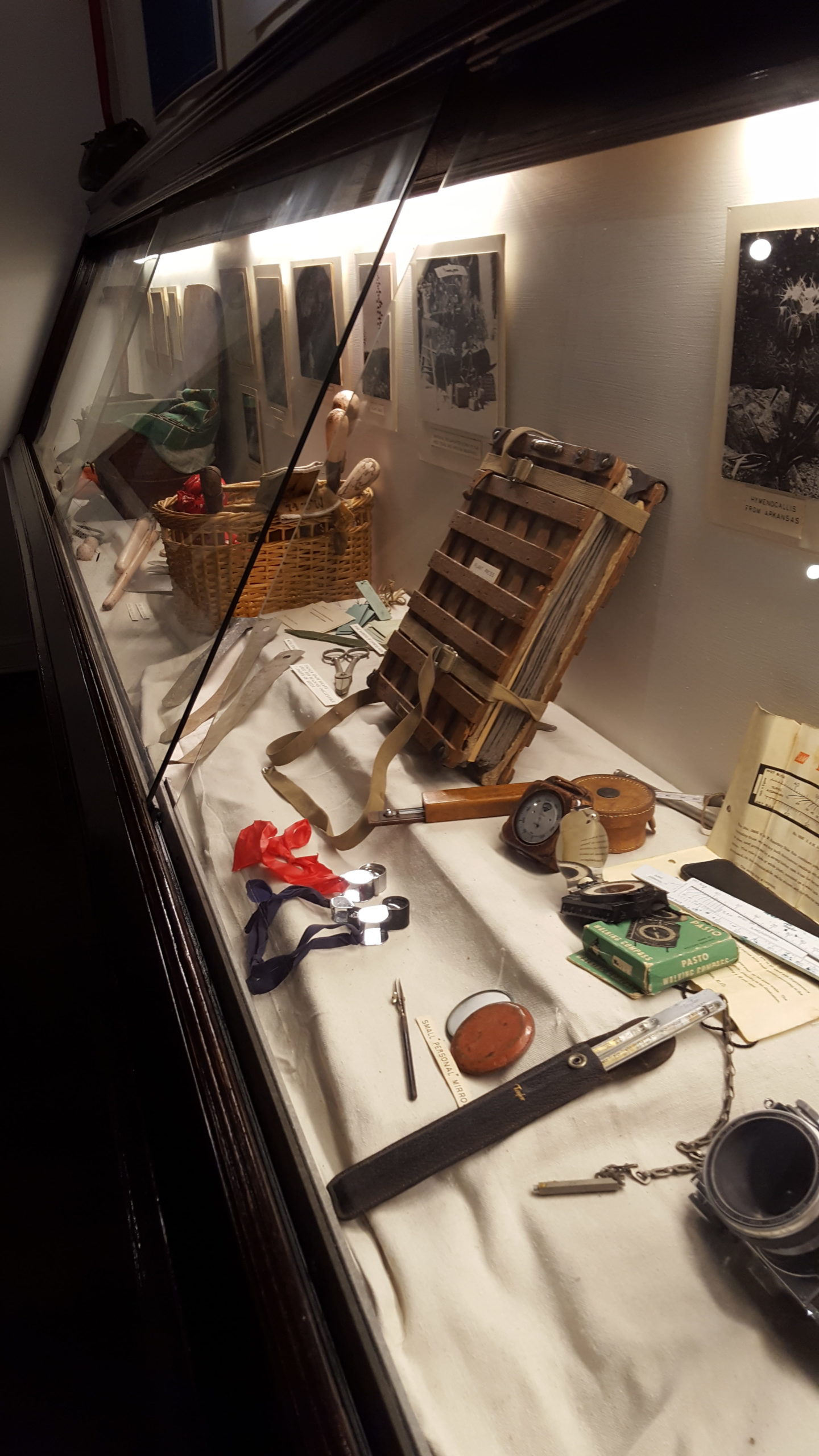 Mary Gibson Henry: Botanist, Plant Hunter, Explorer | Henry Botanic Garden