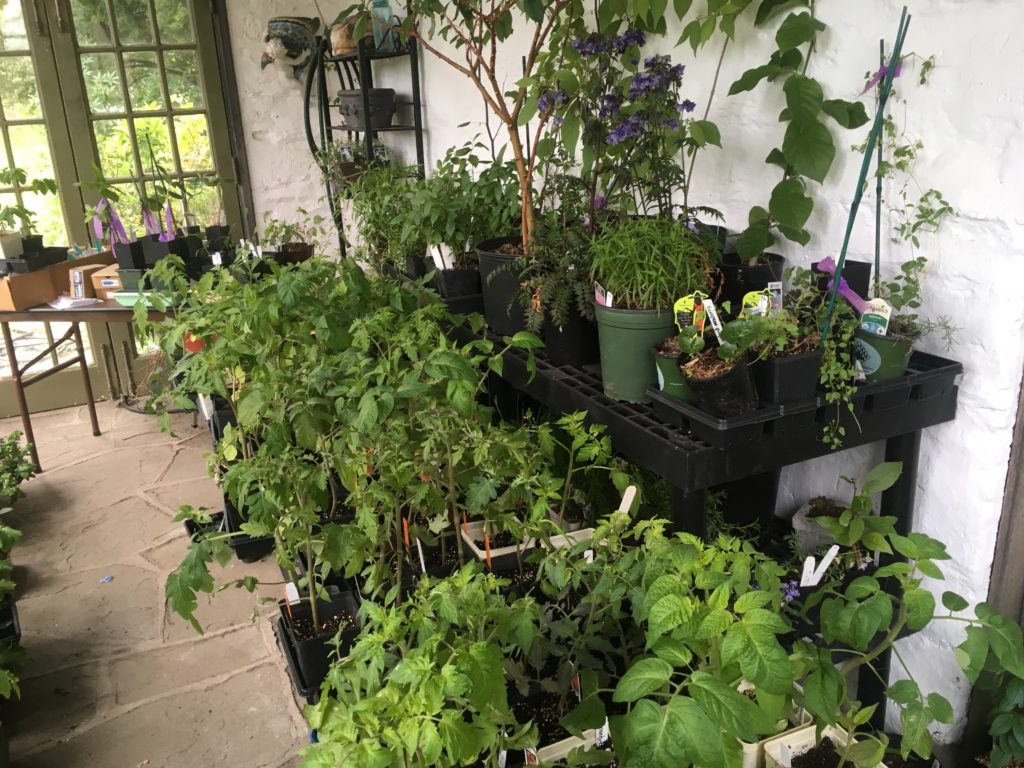 Plenty of sensational specimens are still available from the recent ...