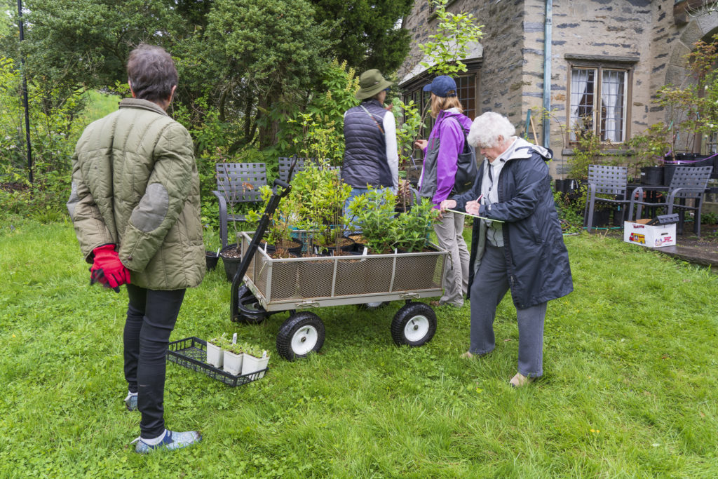 This year’s Henry Spring Plant Sale went off with flying colors. Thank ...