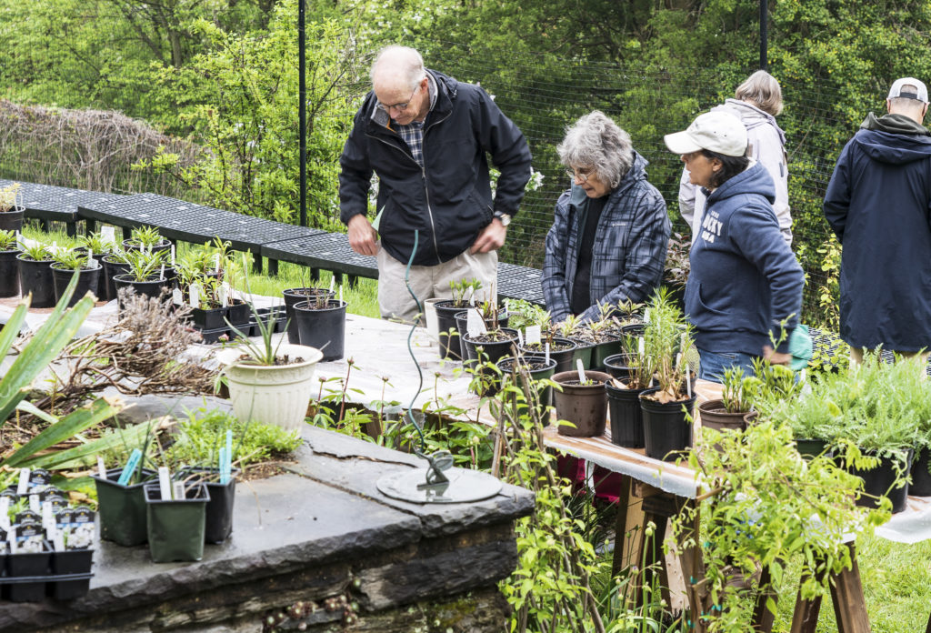 This year’s Henry Spring Plant Sale went off with flying colors. Thank ...