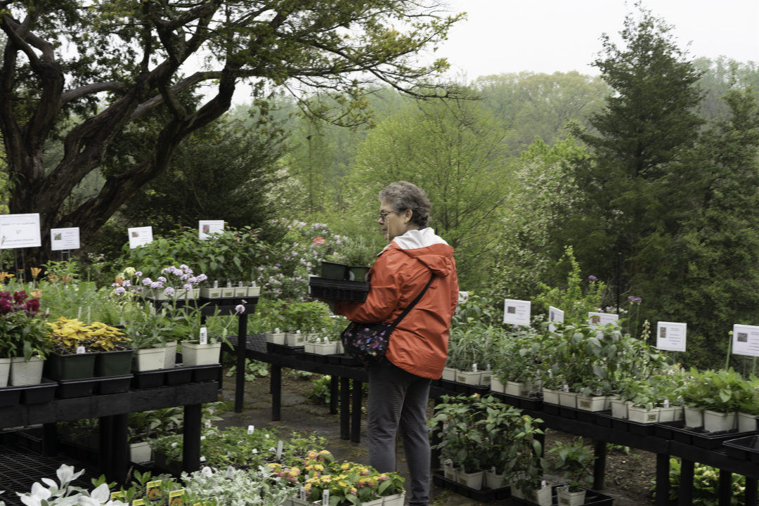 This year’s Henry Spring Plant Sale went off with flying colors. Thank ...